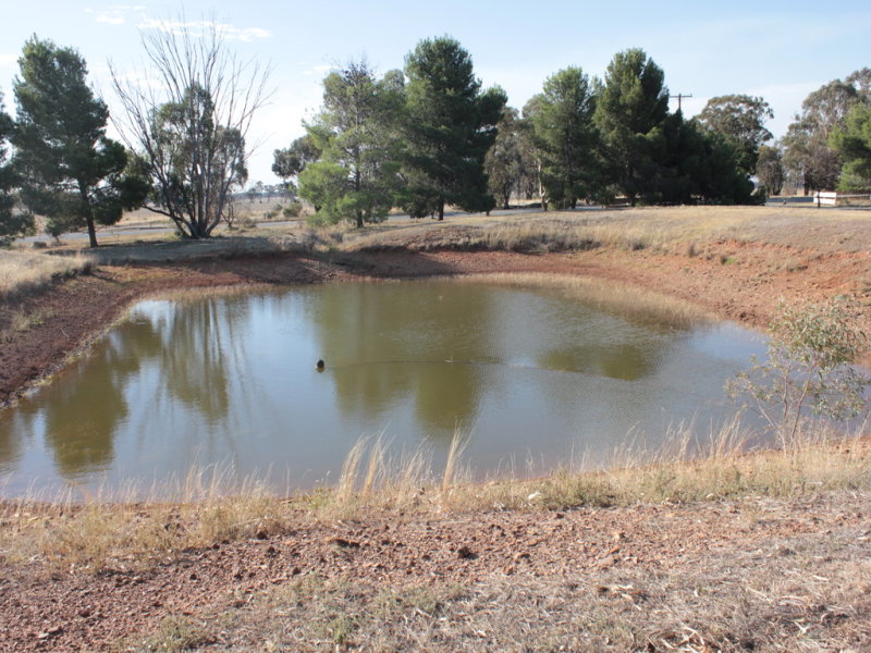 Farm For Sale in Temora, NSW 2666 | 7591 Milvale Road