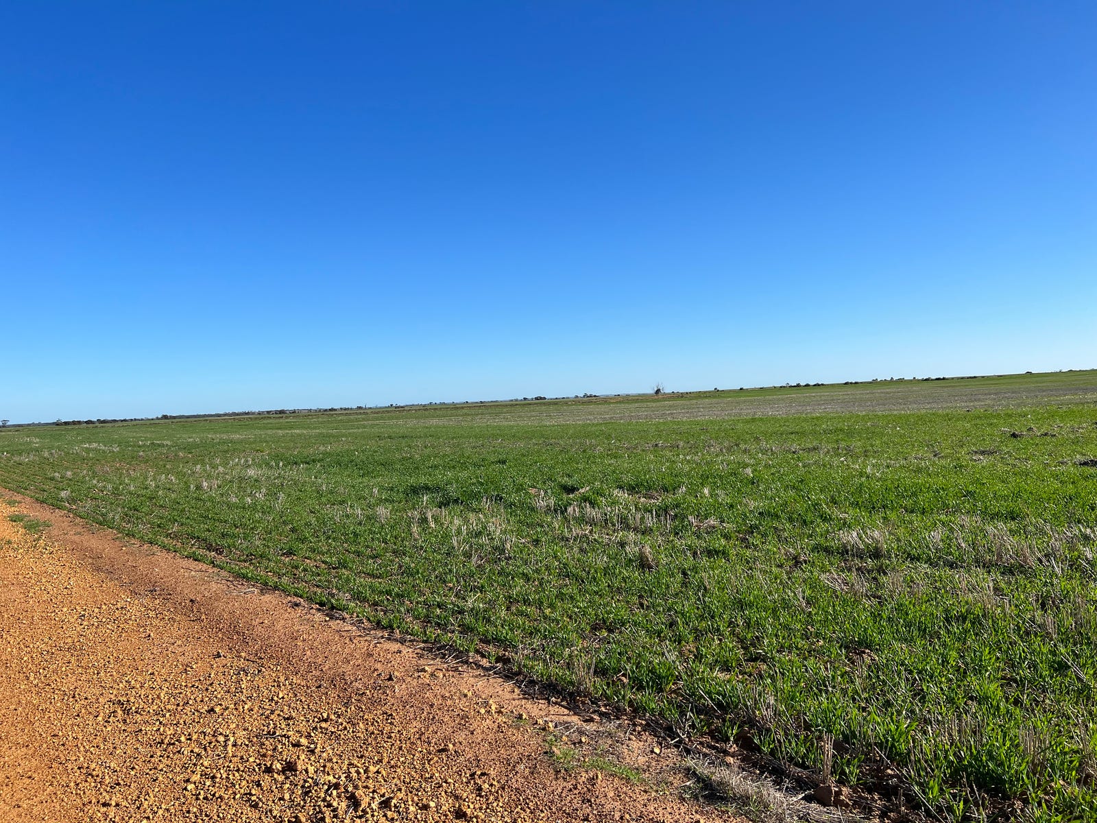 Farm For Sale in Pingrup, WA 6343 | 1345 Pingrup-lake Grace Road