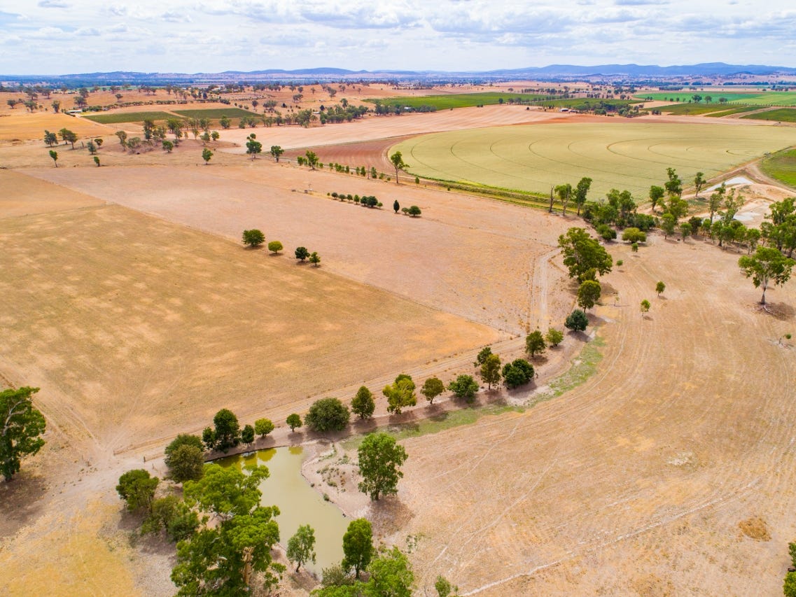 Farm For Sale in Billimari, NSW 2804 | 'bayview' Windowrie Road