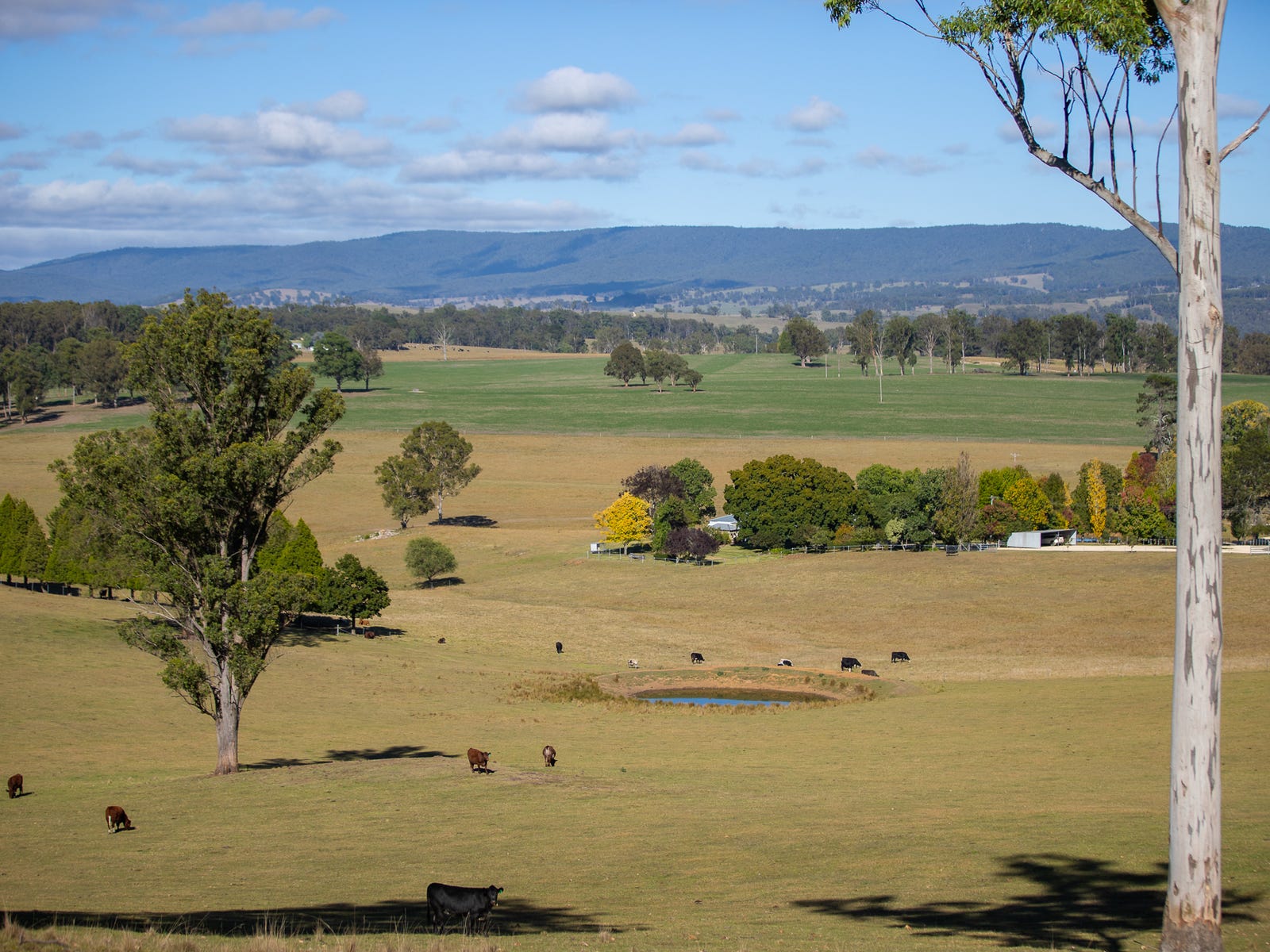 Farm For Sale in Walcha, NSW 2354