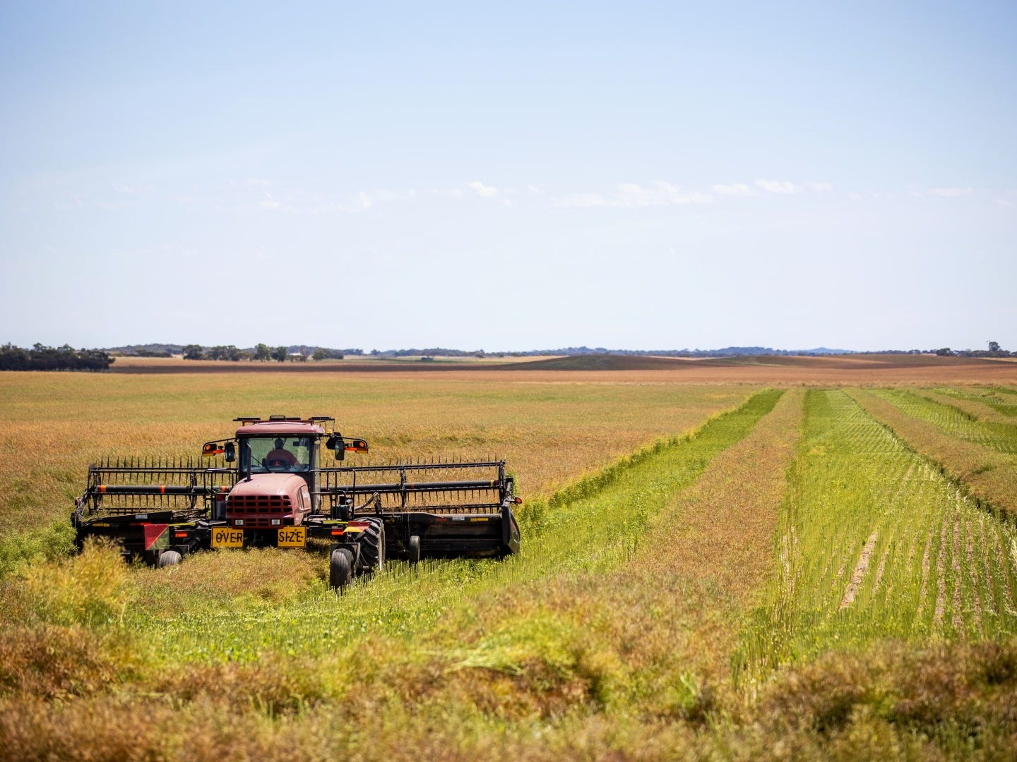 Farm For Sale in Mccallum, SA 5267 | 339 Kynoch Road