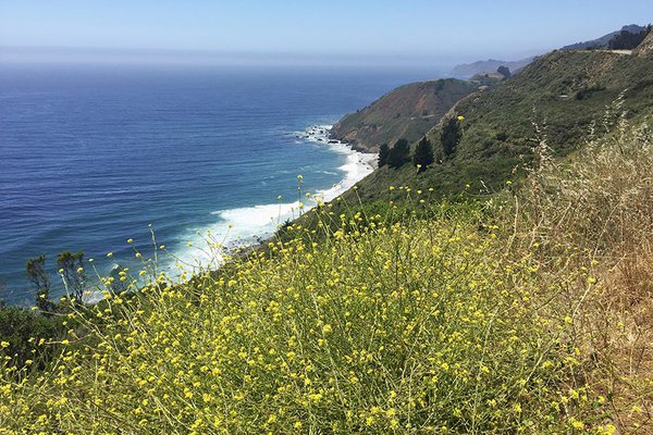 Big Sur Travel Guide - Fathom