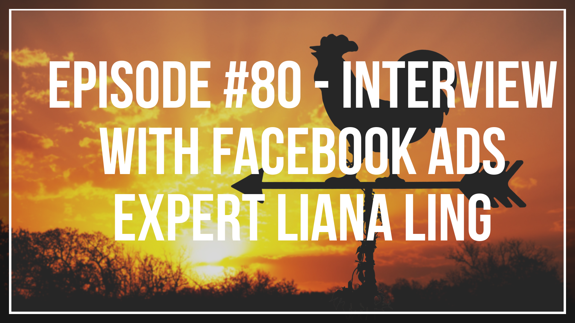 Episode #80 - Interview with Facebook Ads Expert Liana Ling - One Focus ...