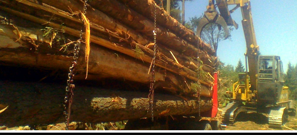 Timber Harvesting | Logging - American Forest Lands Maple Valley WA