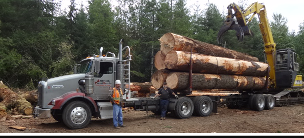 Timber Harvesting | Logging - American Forest Lands Maple Valley WA