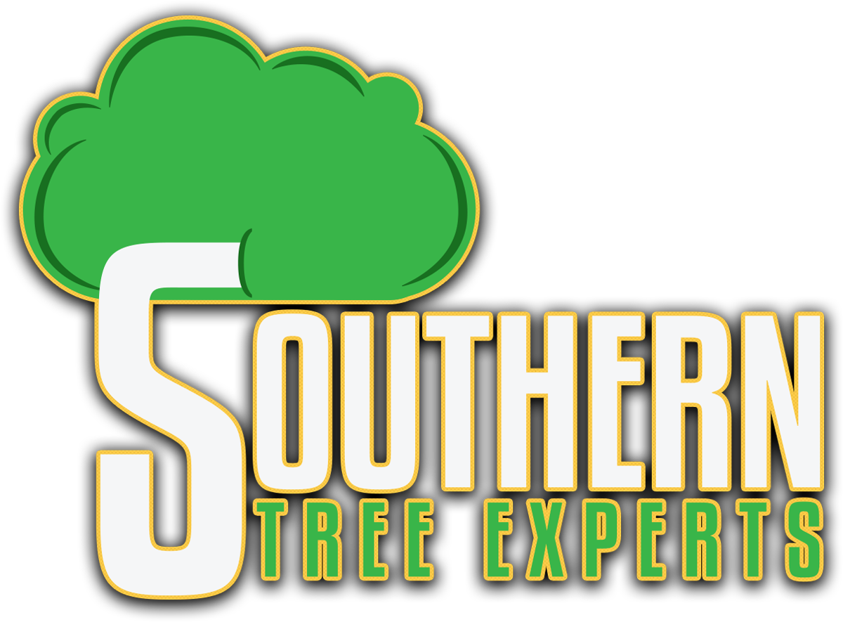 Arborist In Savannah Georgia - Southern Tree Experts