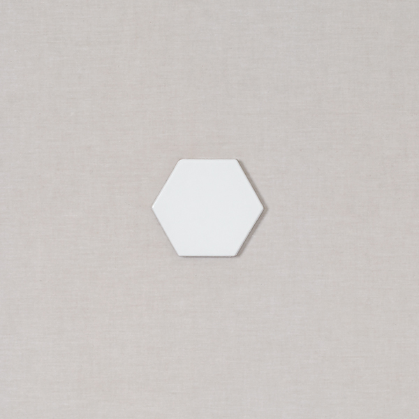4" Hexagon | Fireclay Tile