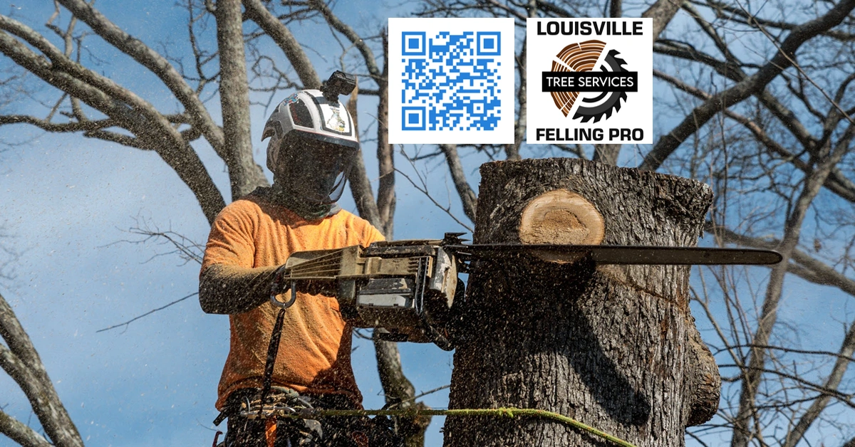 Okolona Tree Service - Louisville Felling Pro