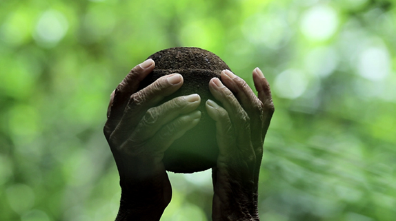 Enraizada - Festival do Rio