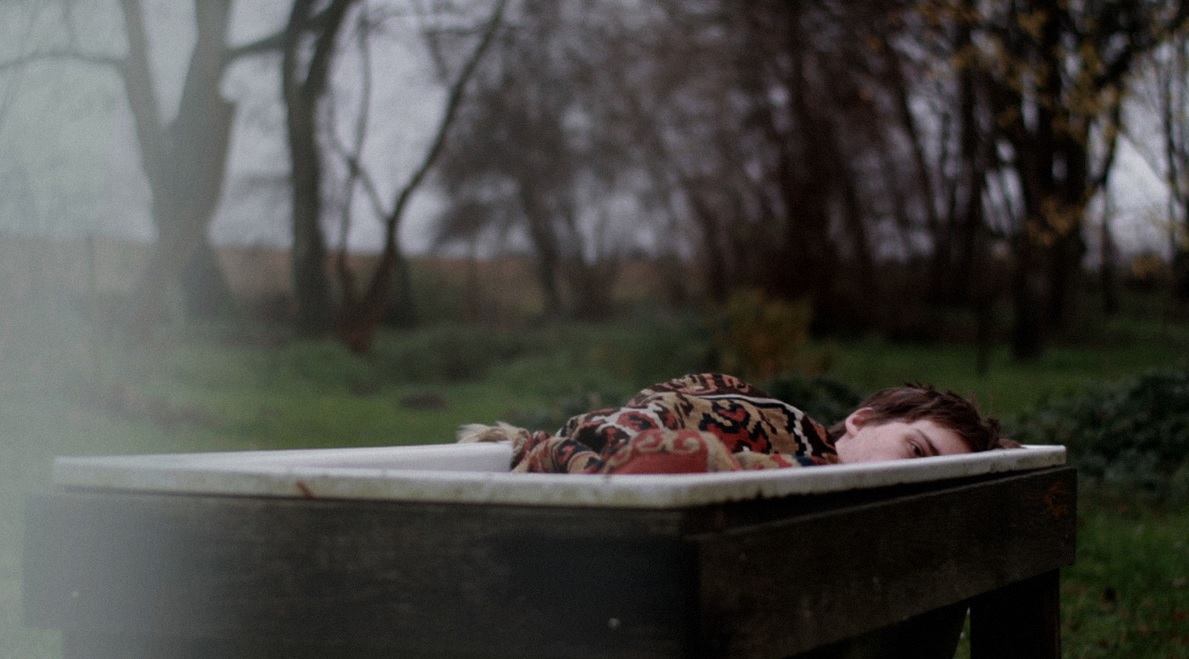 Entrevista: Athanasios Karanikolas - Festival do Rio