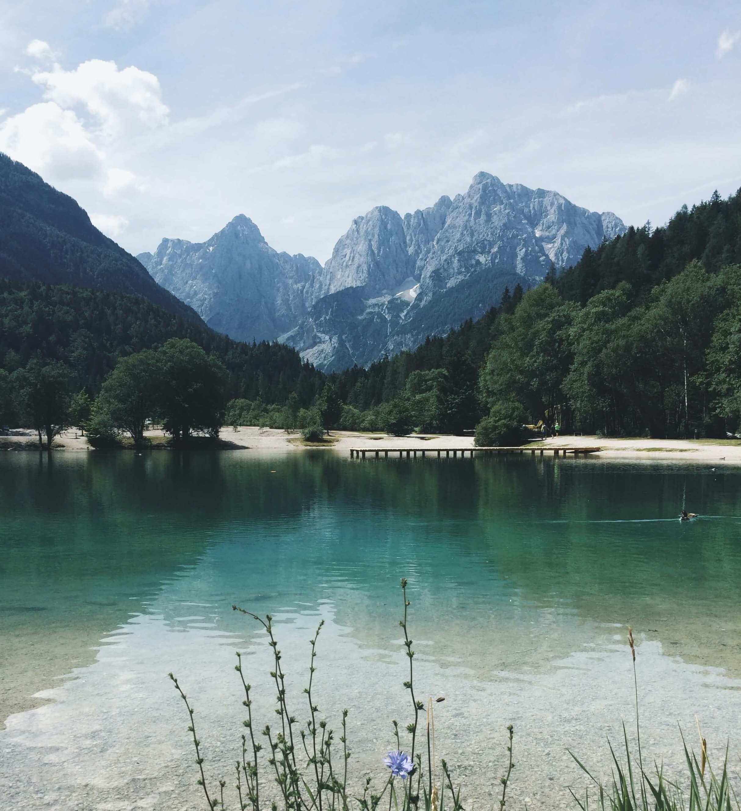 Ash Scattering Services in Illinois [Guide & Ideas]