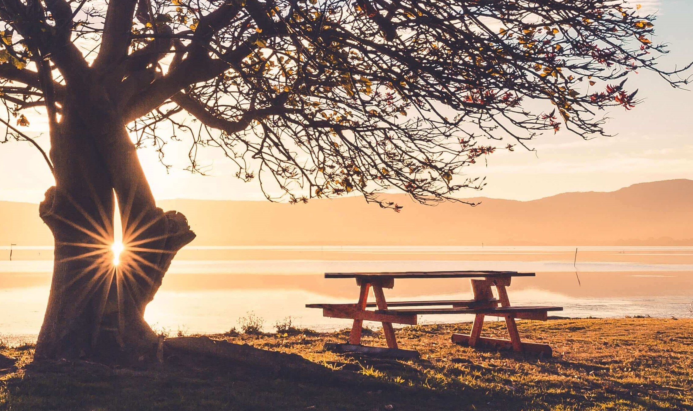 Ash Scattering Ceremony | Where to Scatter Ashes