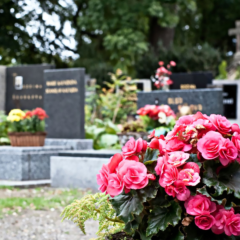 Memorialization Ideas | Bucaro Funeral Home & Cremation Center