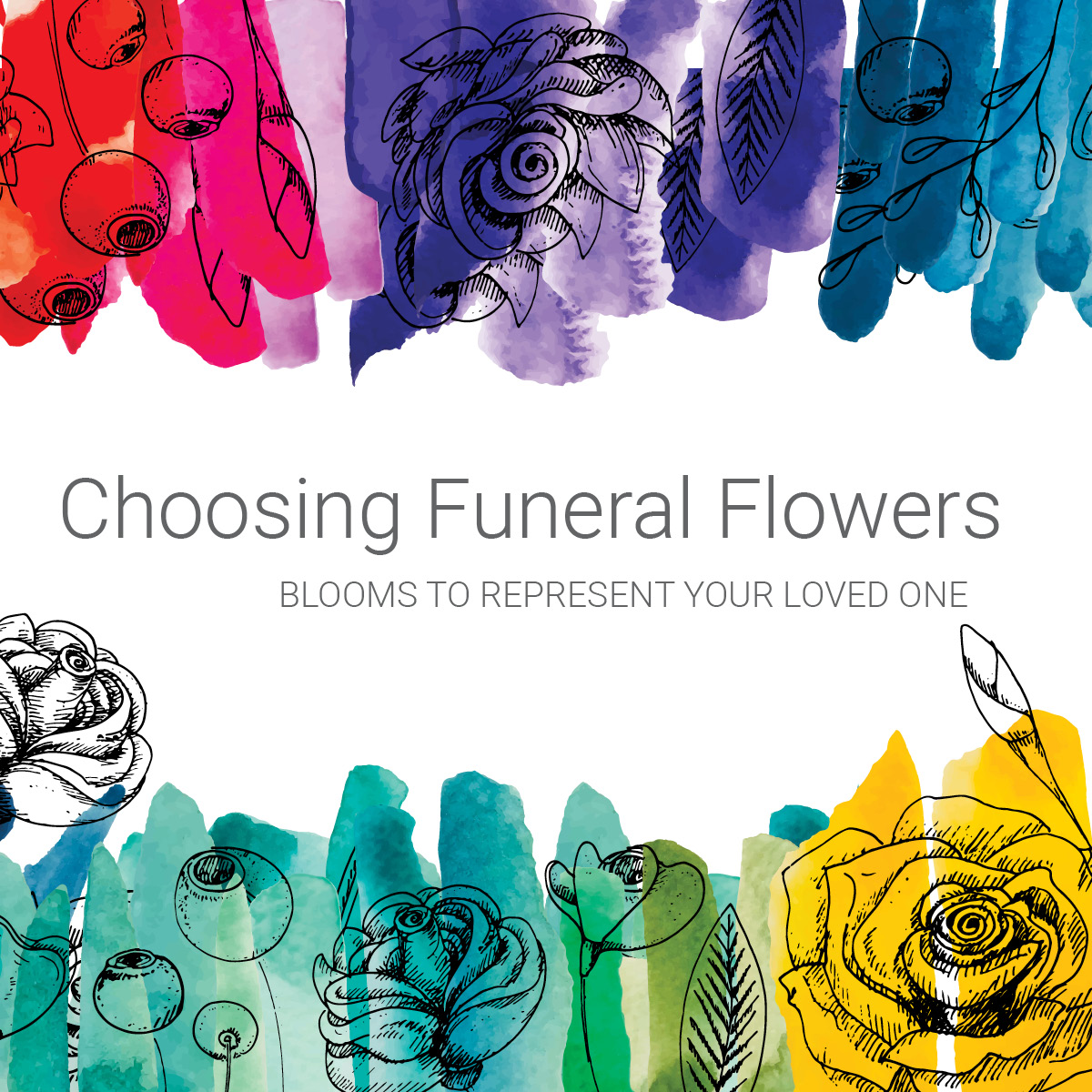 Flower Meaning Guide | Hoffmann Schneider and Kitchen Fun...