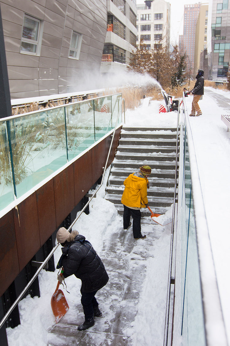 6 Reasons to Love the High Line in Winter | The High Line