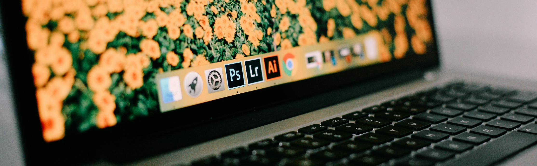 5 Tips To Design Like a Pro | Coastal Reign