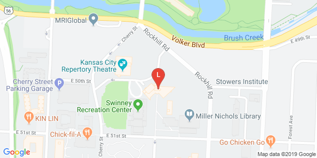 IMLeagues | University of Missouri - Kansas City | IM | School Home