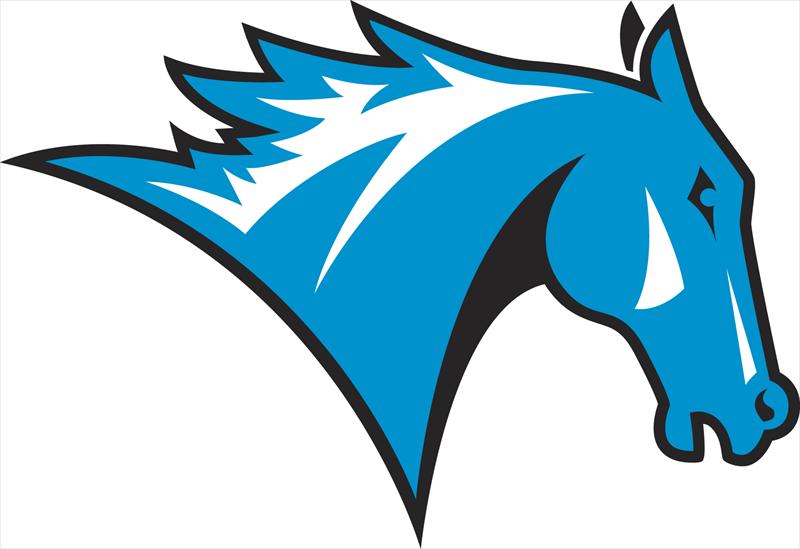 IMLeagues | Colby-Sawyer College | IM | School Home