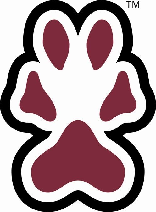 Imleagues Logo