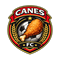 IMLeagues