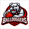 IMLeagues