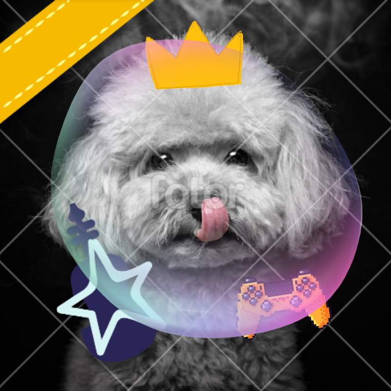 Screeching_Pixel_Hawk | Genius