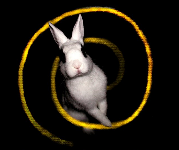 Concept For A Discoverability Feature: "The Rabbit Hole" | Genius