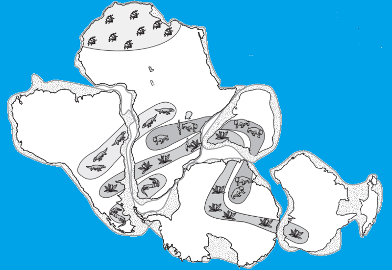 Lesson Pangaea Wegener s Puzzling Evidence BetterLesson Lesson Pangaea Wegener s Puzzling Evidence BetterLesson