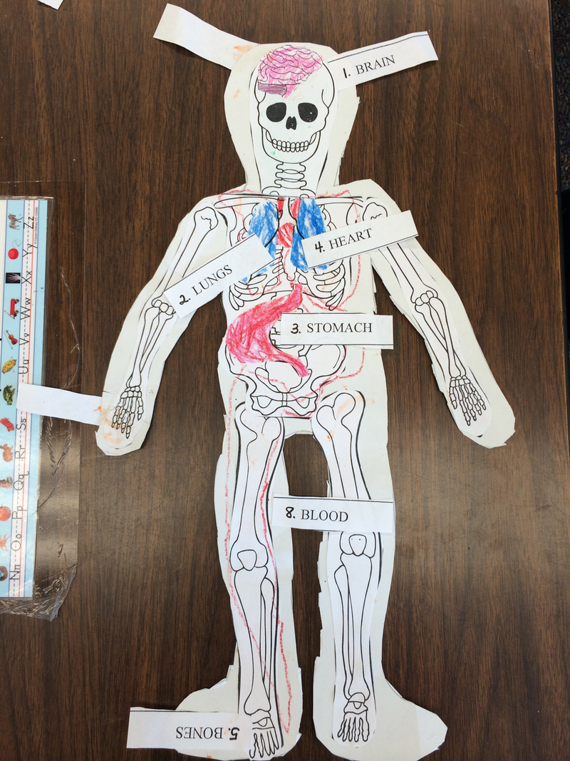 Using Diagrams To Show What We Have Learned Betterlesson