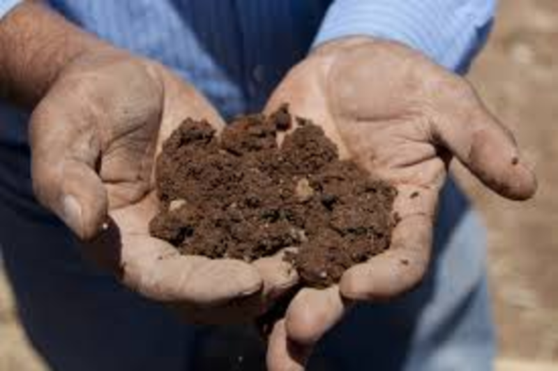 First Grade Lesson What Is Soil Preassessment And Exploration first-grade-lesson-what-is-soil-preassessment-and-exploration