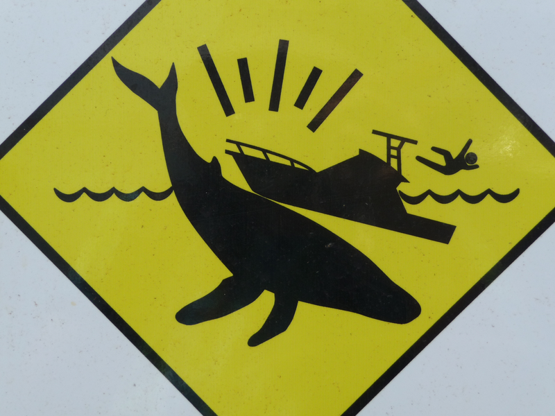 Ninth grade Lesson Warning Sign! | BetterLesson