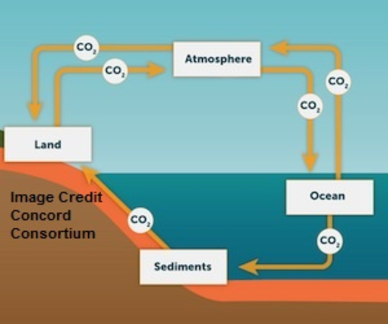 Lesson Sources, Sinks, and Feedbacks | BetterLesson