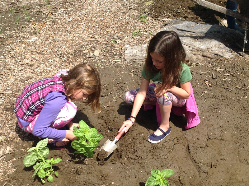 First grade Lesson Planting A Garden: Day 2 | BetterLesson