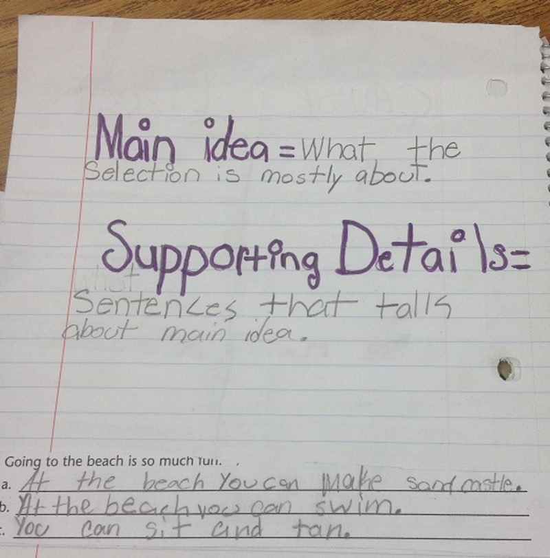 Fourth grade Lesson Getting the "Main Idea": Pre Test and Left Side