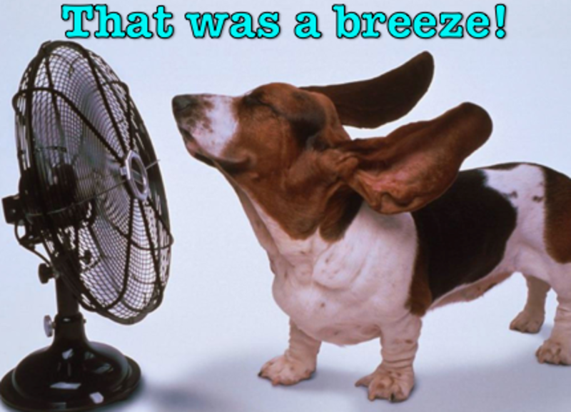 Third grade Lesson That was a Breeze!: Working with Idioms