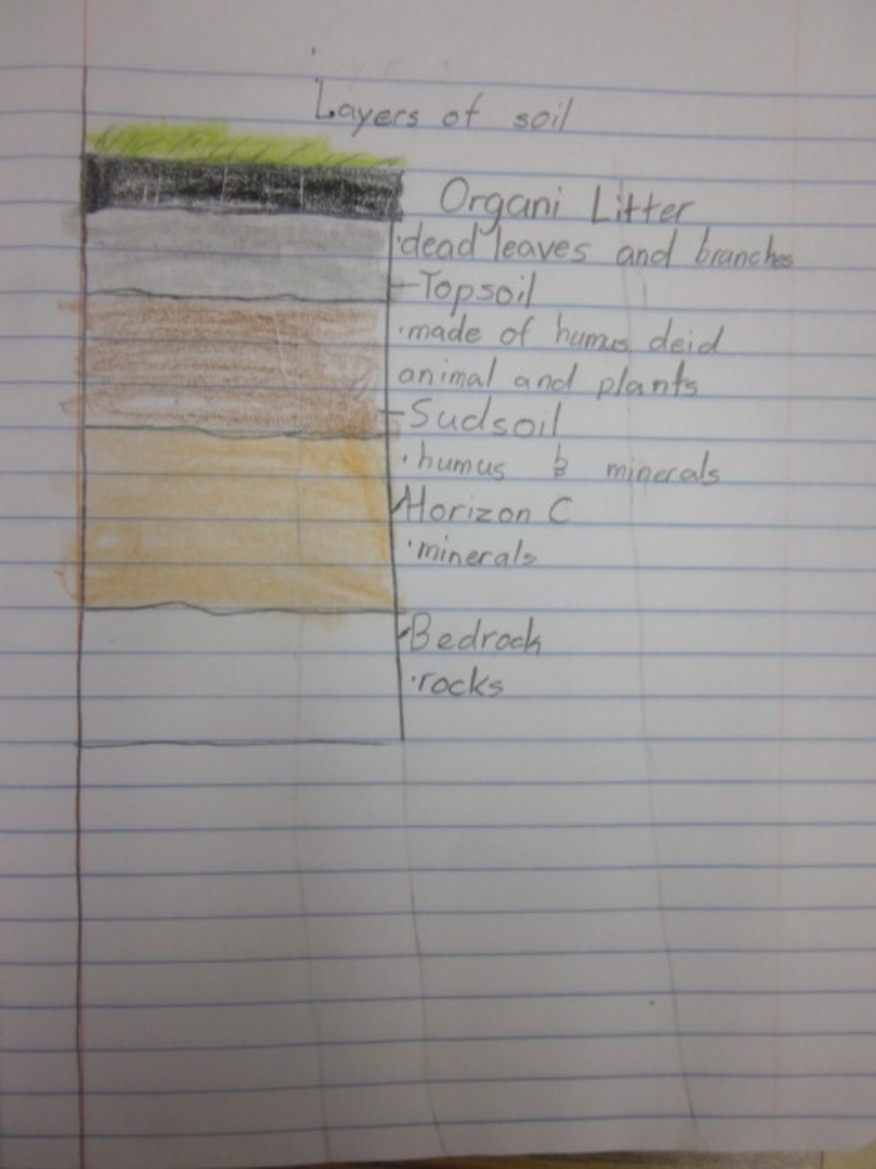 Second Grade Lesson The Layers Of Soil BetterLesson second-grade-lesson-the-layers-of-soil-betterlesson