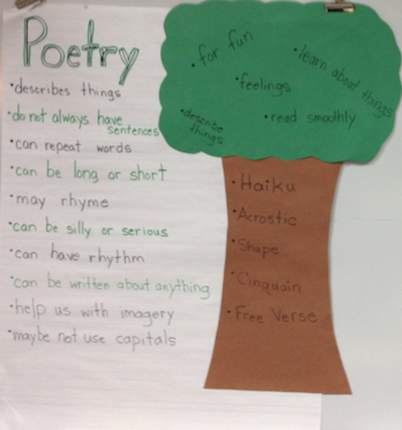 Second grade Lesson Long Vowels & Limericks-Looking at Poetry