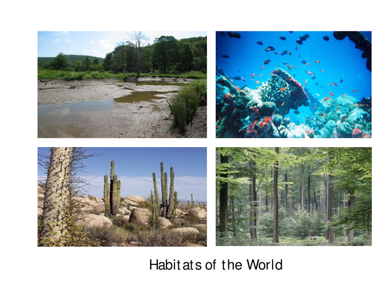 Second grade Lesson What Is Your Habitat? | BetterLesson