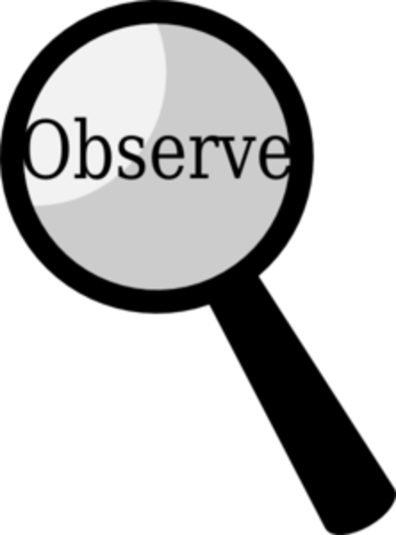 Seventh Grade Lesson Learning To Observe BetterLesson