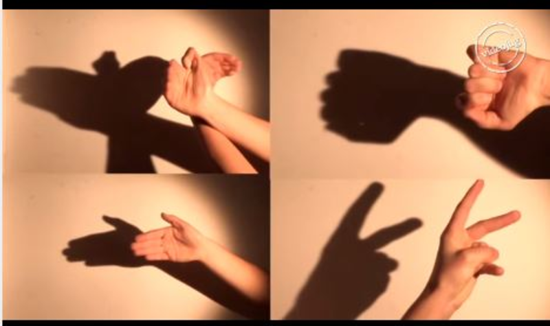 Kindergarten Lesson Shadows Shadows Everywhere BetterLesson Kindergarten Lesson Shadows Shadows Everywhere BetterLesson