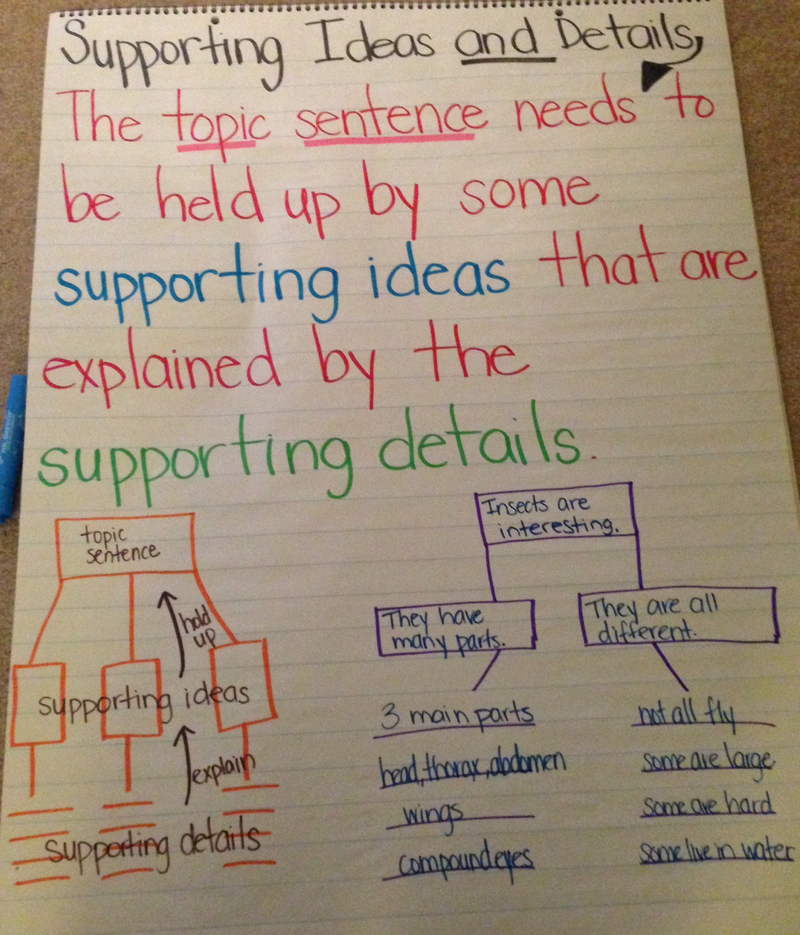 Using Diagrams To Show What We Have Learned Betterlesson