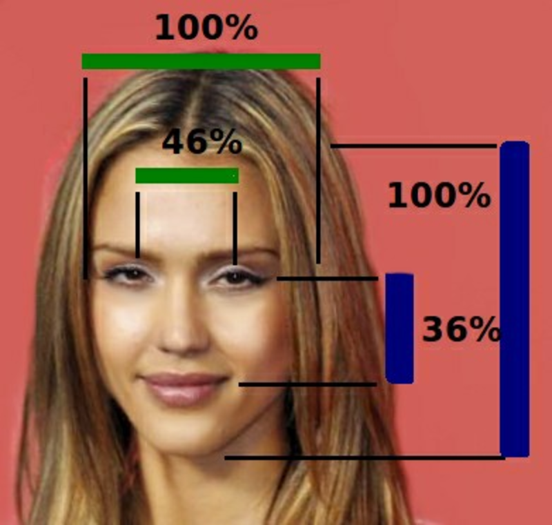 Fifth Grade Lesson Body Ratios BetterLesson