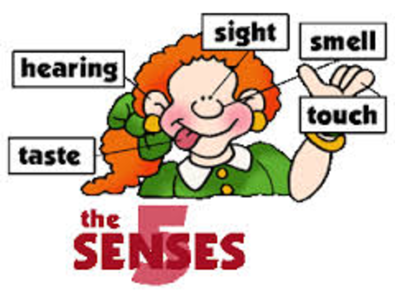 Seventh Grade Lesson Sensory Details BetterLesson Seventh Grade Lesson Sensory Details BetterLesson