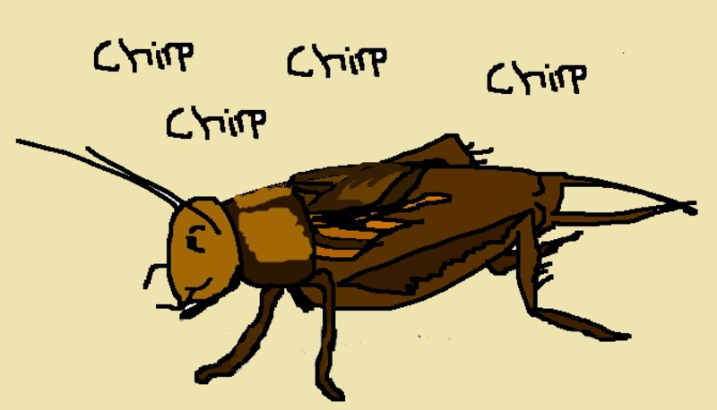 How Do Crickets Chirp