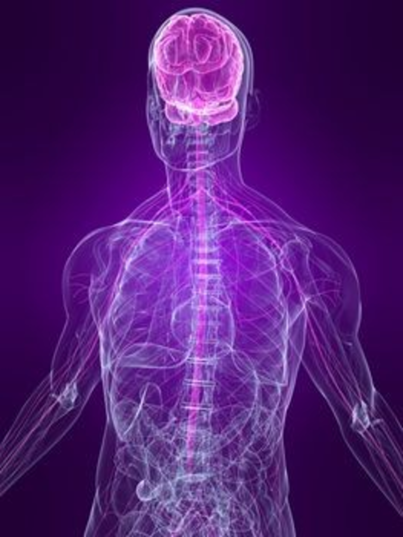 Seventh Grade Lesson You Have Alot Of Nerves An Introduction To The