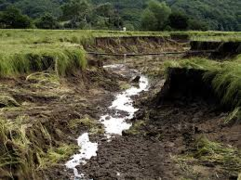 Second grade Lesson Water Changes The Shape of The Land