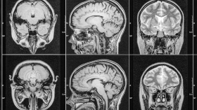 Clover Learning Academic Licenses for Schools and Universities