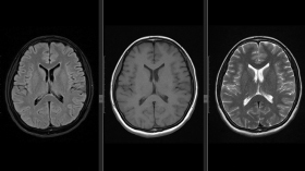 Clover Learning Institutional Licenses for Hospitals