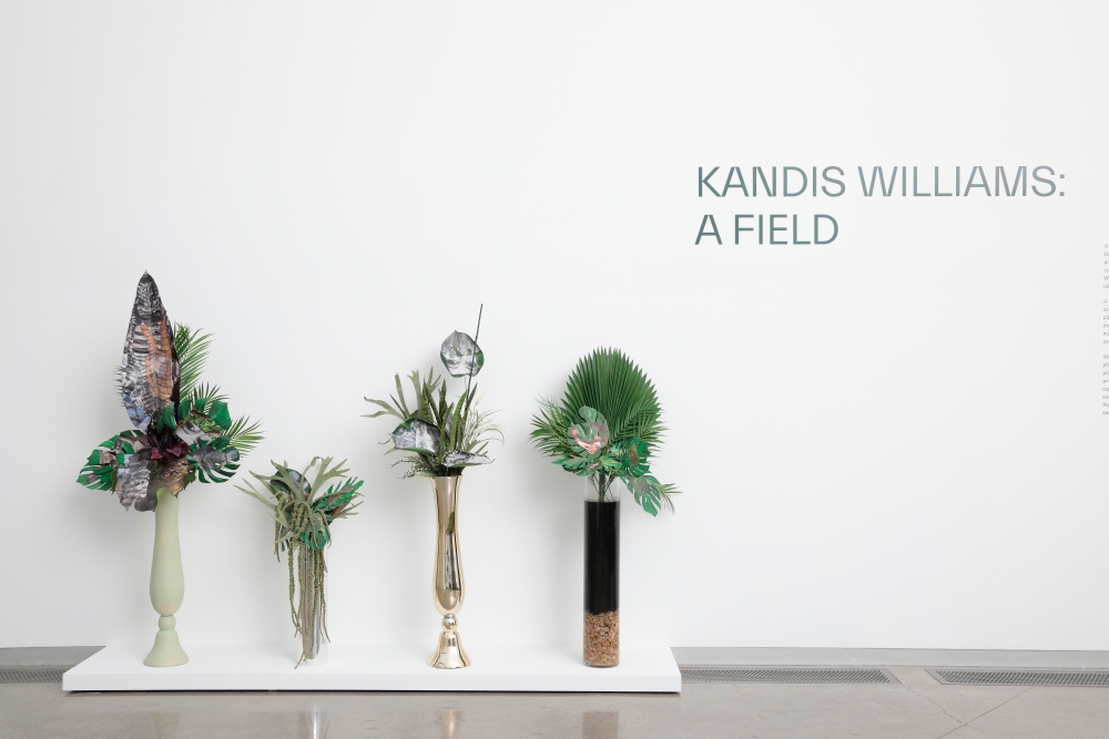 Kandis Williams - Artists - Night Gallery
