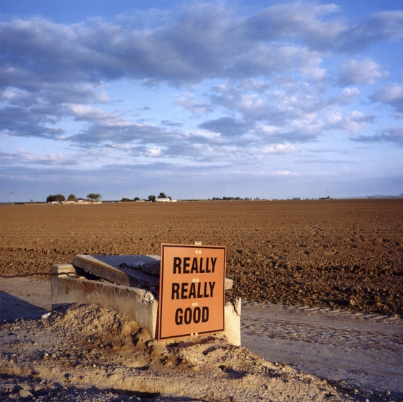 David Graham (photographer) - Alchetron, the free social encyclopedia